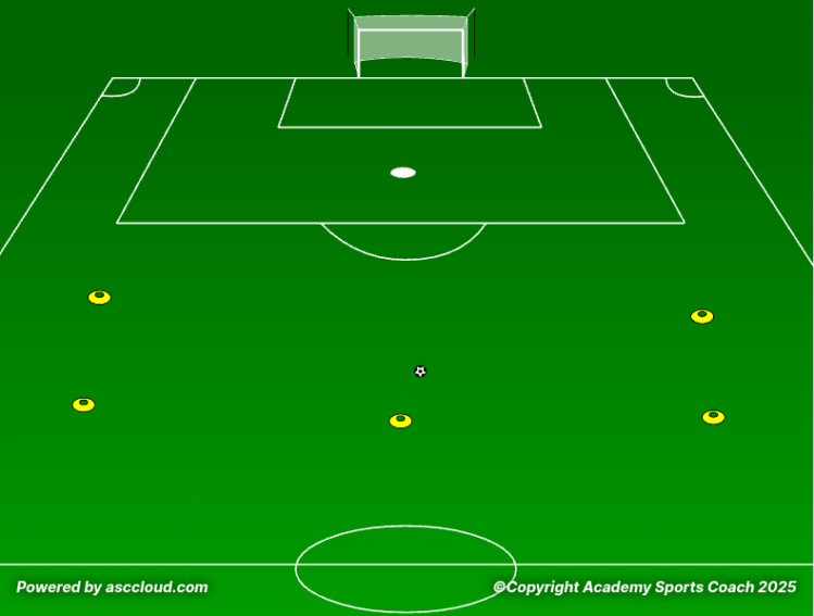 Half Field Game for Switching the Field - WORLD CLASS COACHING Training ...